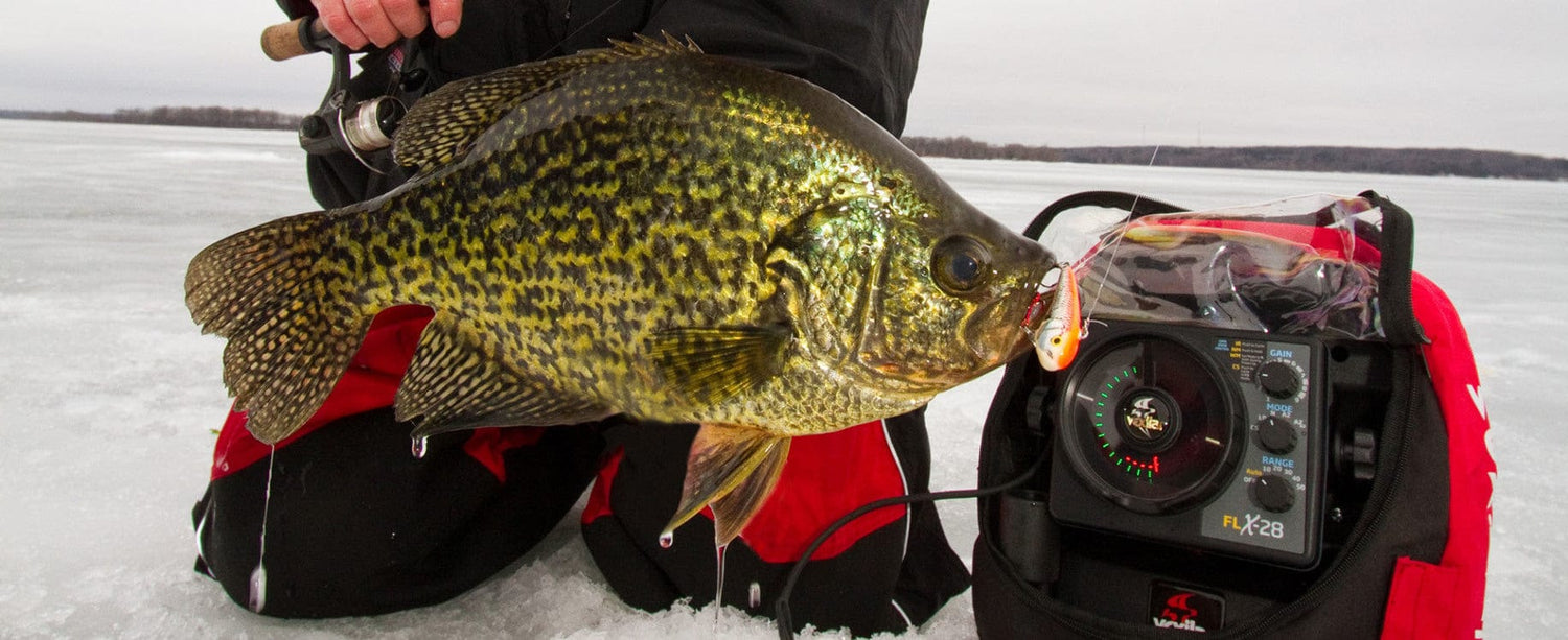 Ontario Fish Species – Fishing World