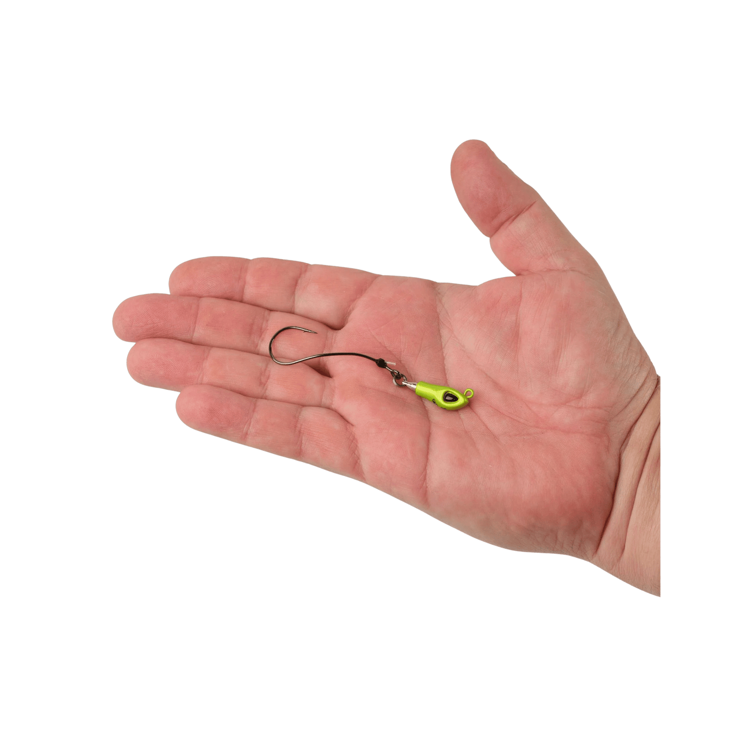 BERKLEY – Fishing World