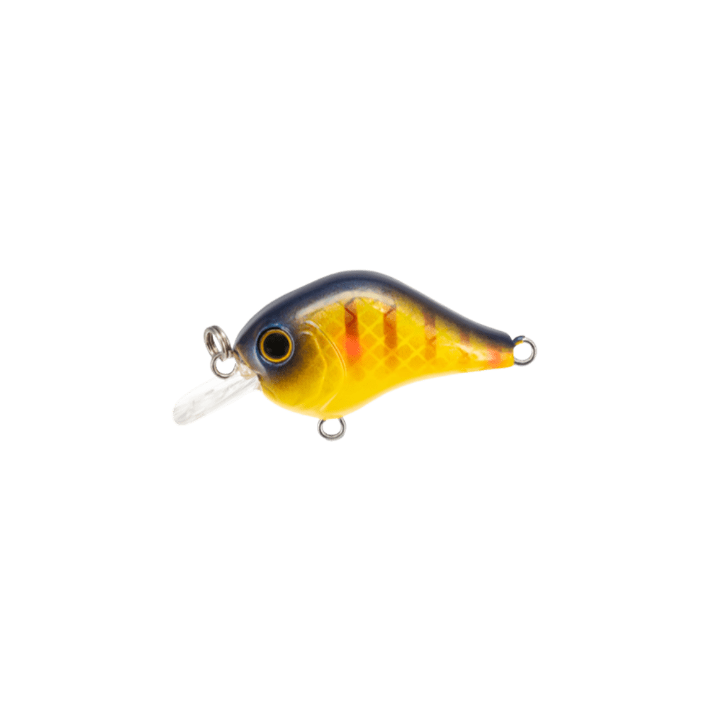 Bill Lewis The Gnat | Micro Crankbait | Fishing World