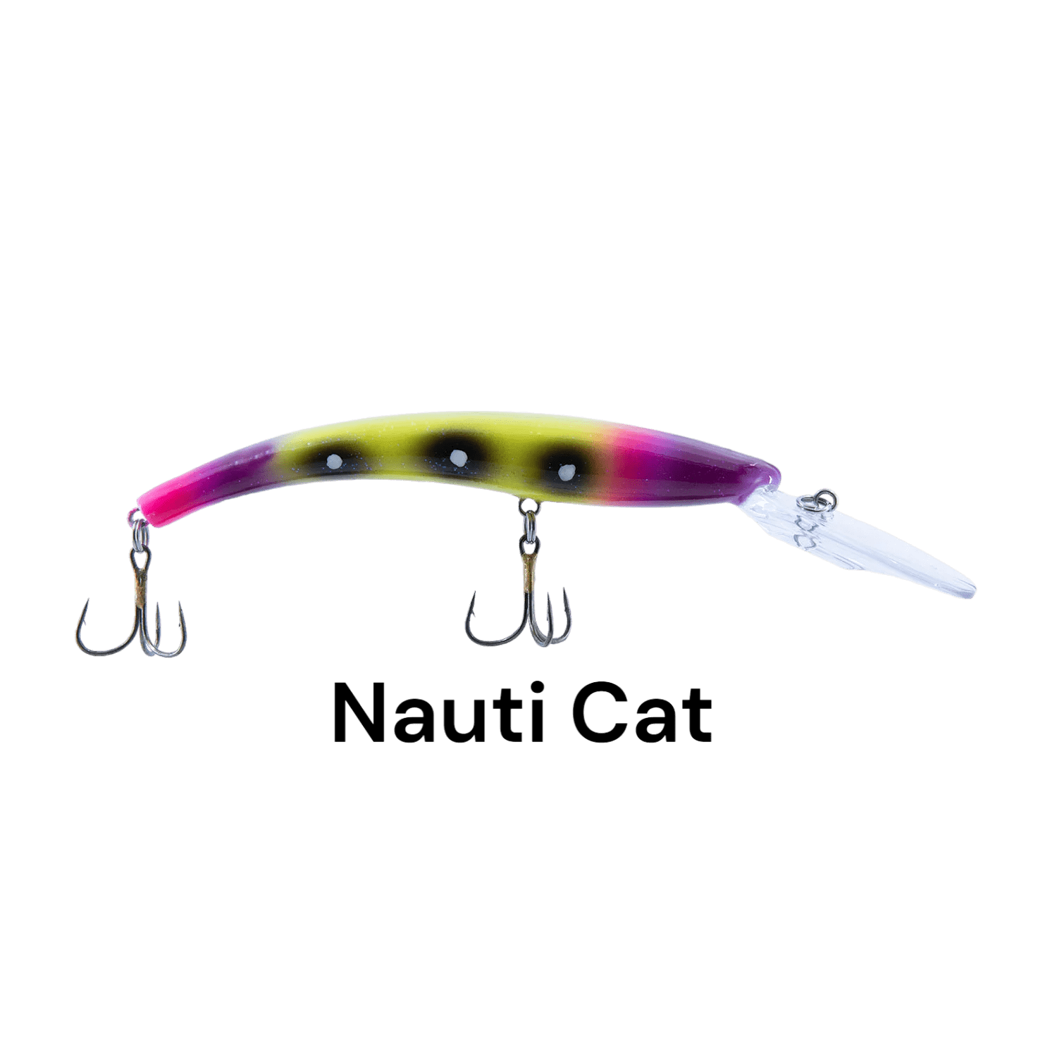 Reef Runner Deep Diver – Fishing World